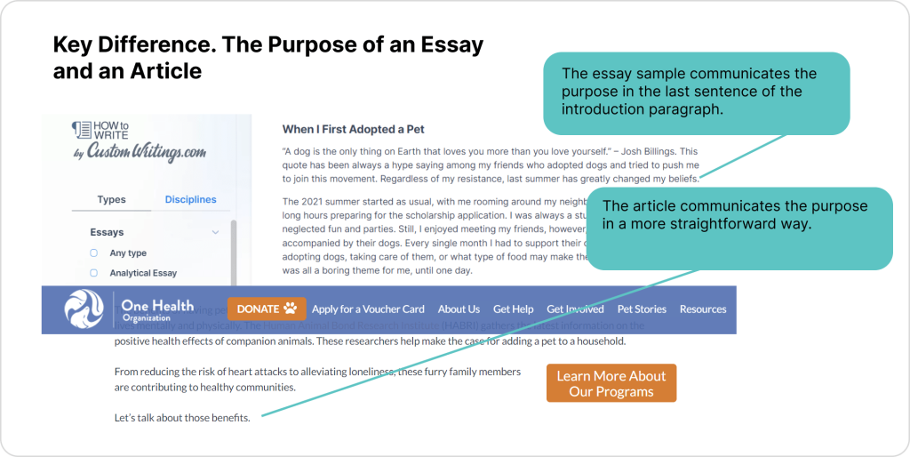 Essays and Articles: Differences and Similarities Explained by Experts ...