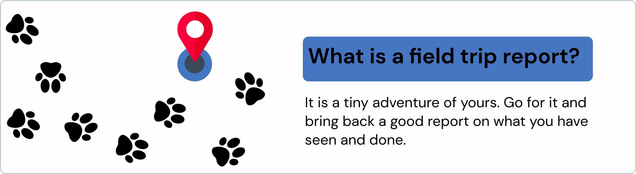 Sample of a Field Trip Report: Practical Guide | HowToWrite by ...